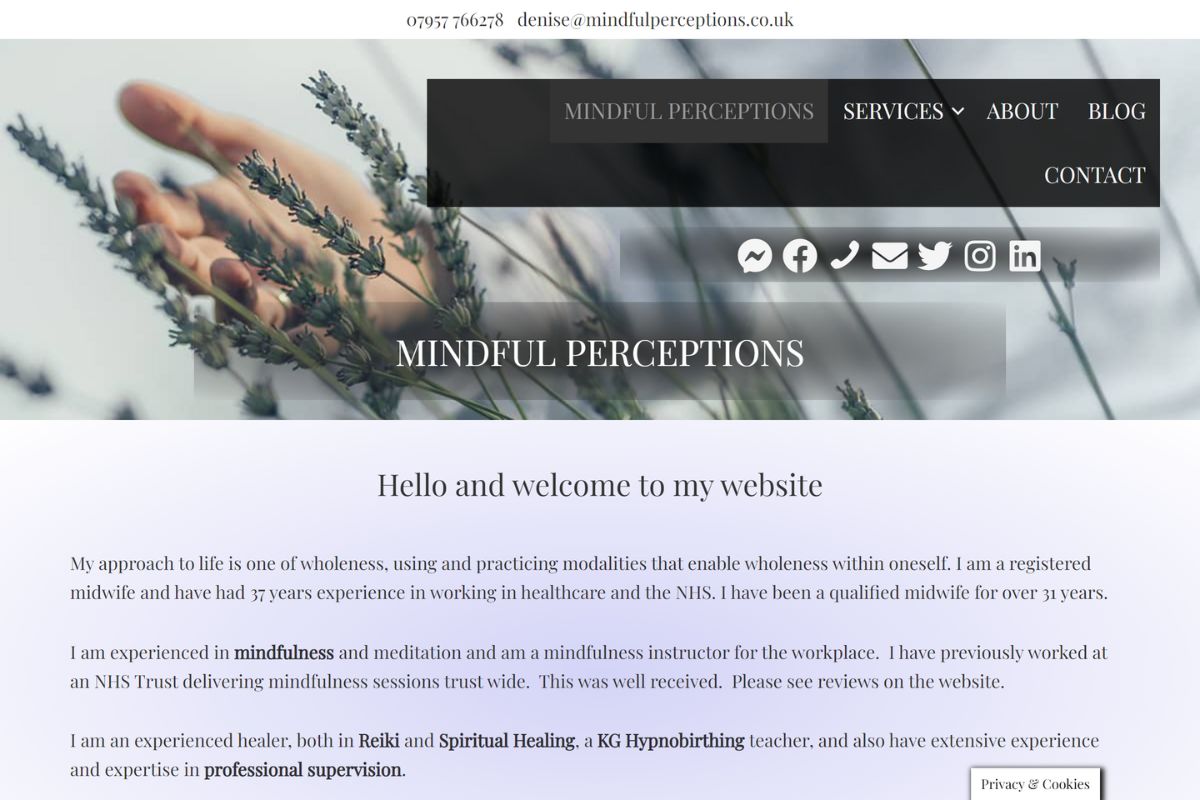 Website & Brand Support for Mindful Perceptions | Brand & Build